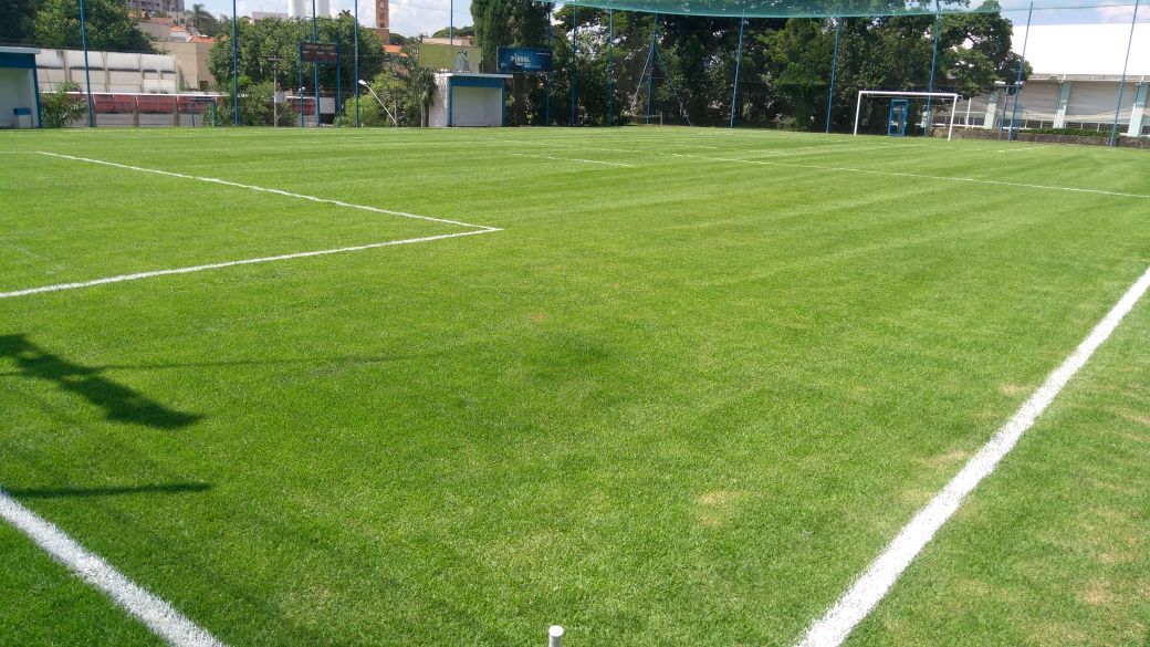 Nosso Clube - Após revitalização, campo de grama natural é reaberto com ...